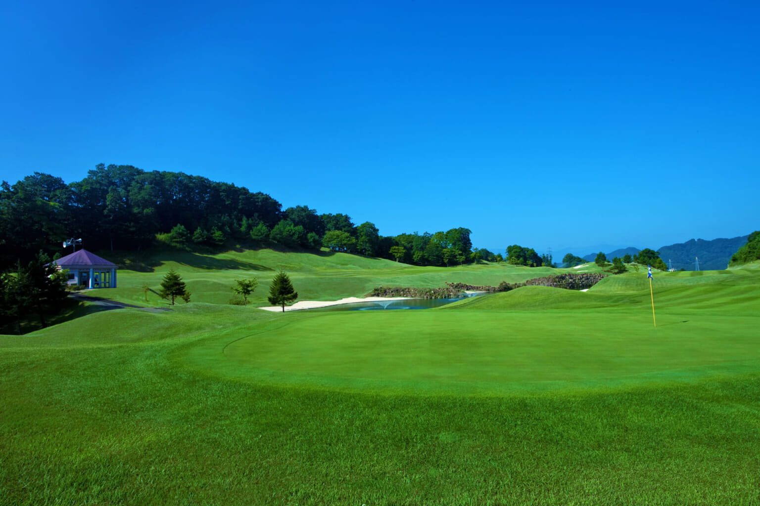 Discover SENDAI - The Official Sendai Travel Guide