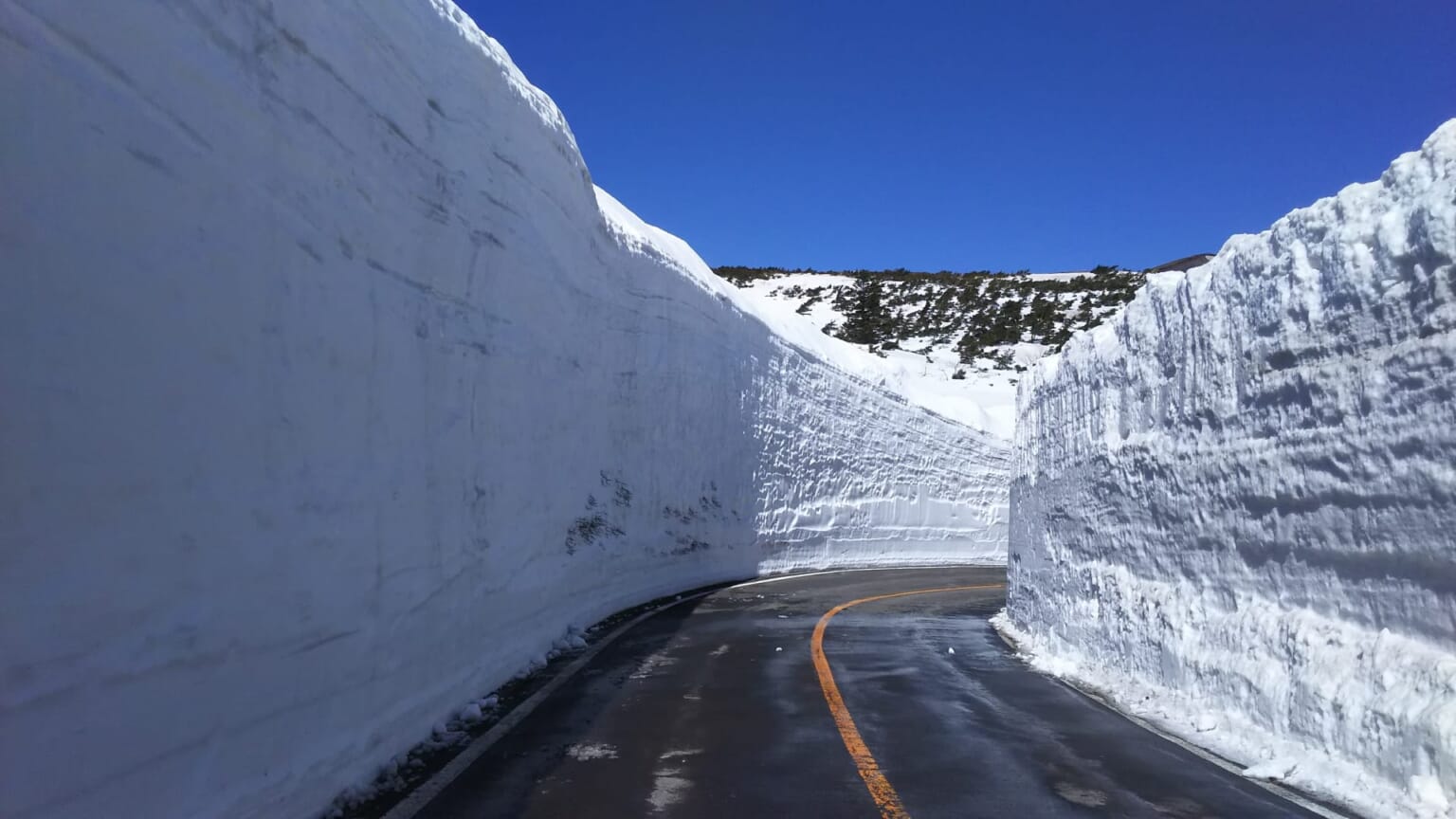 Discover SENDAI - The Official Sendai Travel Guide