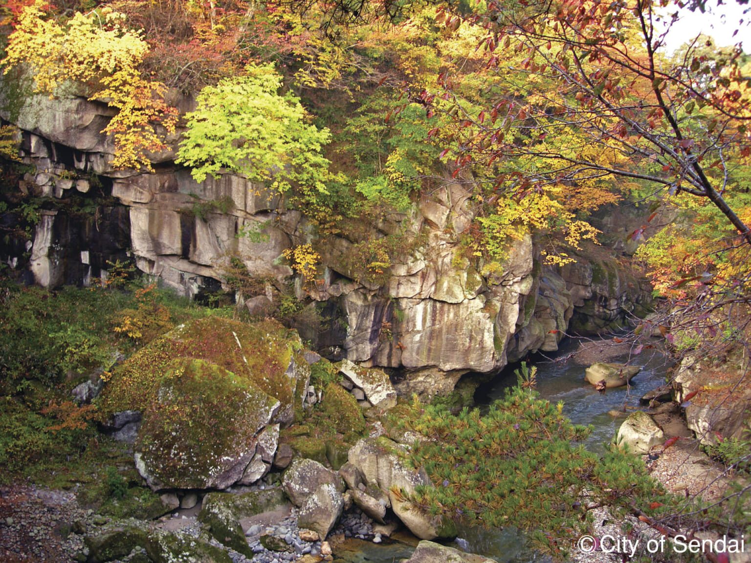 Discover SENDAI - The Official Sendai Travel Guide