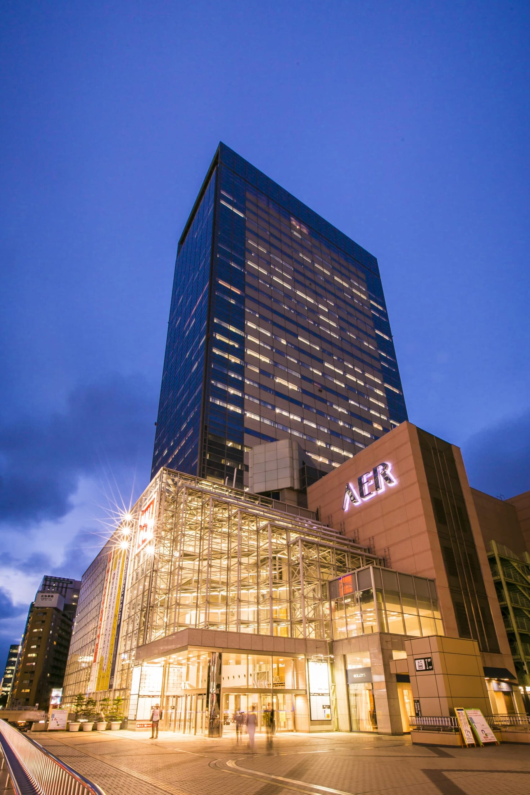 Local Gourmet, Shopping, and Night View in One Day Course | Discover SENDAI