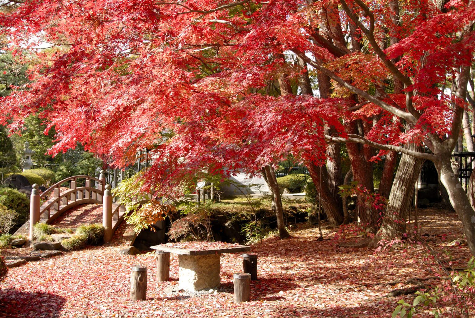 KITAYAMA GOZAN | Discover SENDAI